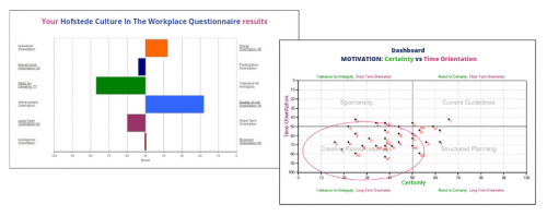 Hofstede Culture In The Workplace Questionnaire™ - Culture In The ...